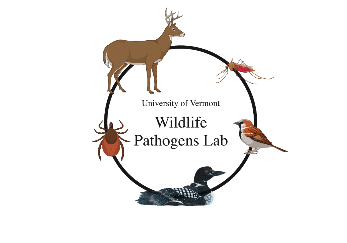 Wildlife Pathogens Lab – Home of the research group of Ellen Martinsen