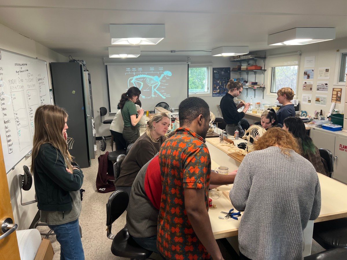 UVM Natural History Collection Internship Courses – Wildlife Pathogens Lab