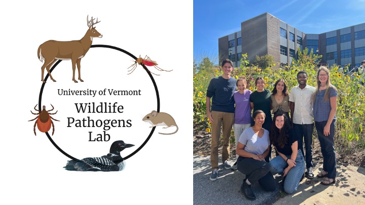 Wildlife Pathogens Lab – Home of the research group of Ellen Martinsen